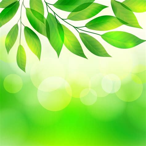 Premium Vector Green Leaves On Bokeh Background