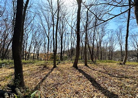 自然に囲まれてホッとひといき。町田薬師池公園「やくし売店」のたぬきそば【東京】｜雑誌beginビギン公式サイト