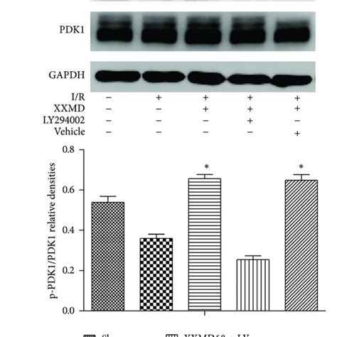 Western Blot Analysis Of Phosphorylation Levels Of Akt Gsk3β And