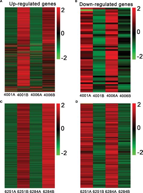 Figure 6 From Global Transcriptome Analysis Reveals Potential Genes