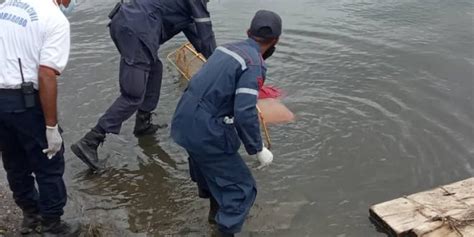 Hombre De 26 Años Muere Ahogado En Playa Cercana A Dianca En Puerto
