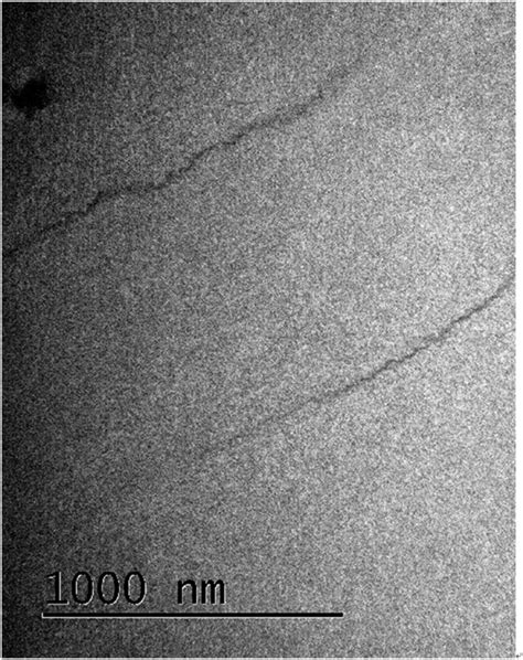 Complexation And Coacervation Of Like Charged Polyelectrolytes Inspired