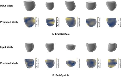Frontiers Interpretable Cardiac Anatomy Modeling Using Variational Mesh Autoencoders