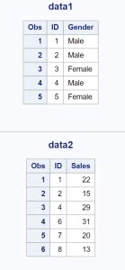 SAS How To Use In A In Merge Statement