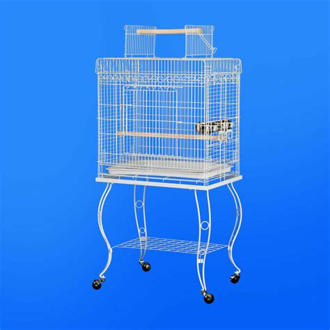 0224 Tsi Pet Supplies