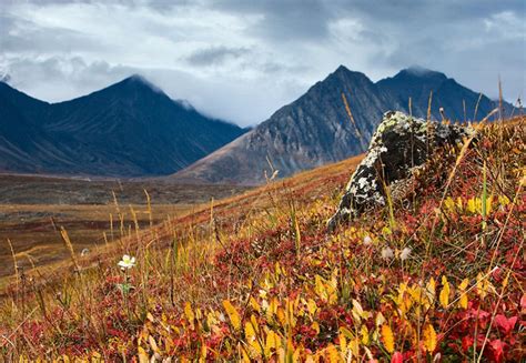 La Tchoukotka Vaste Terre De Lauthenticité Russia Beyond Fr