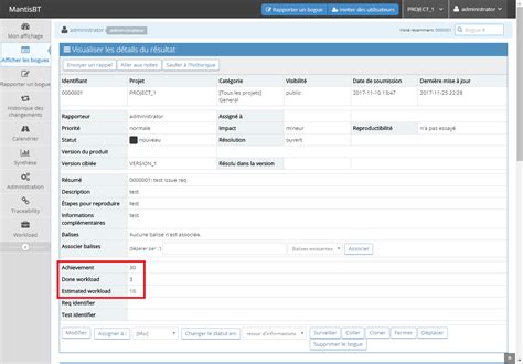 Issue Workload In Mantisbt 23x