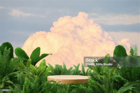 열대 우림 식물 흐림 구름 핑크 골드 푸른 하늘 자연 배경과 함께 초현실적 인 나무 연단 제품 선물 자연 배치 받침대 최소 디스플레이 봄과 여름 낙원 꿈꾸는 개념 숲에 대한