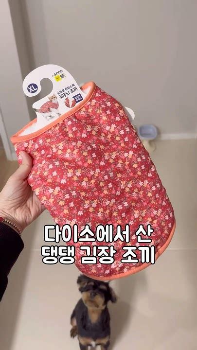 할미랑 커플룩🐶🌺강아지 촌캉스룩 다이소 꽃무늬 김장 조끼 Youtube
