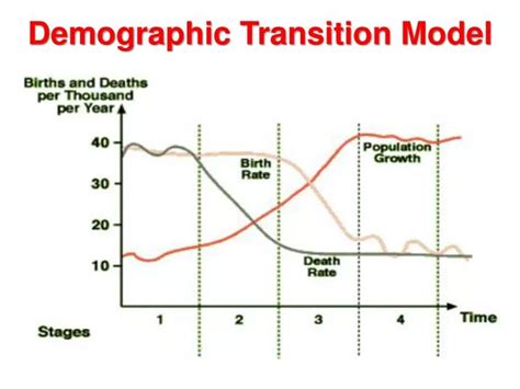PPT Demographic Transition Model PowerPoint Presentation Free Download ID 4136479