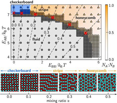 Two Step Crystallization And Solidsolid Transitions In Binary Colloidal Mixtures Pnas