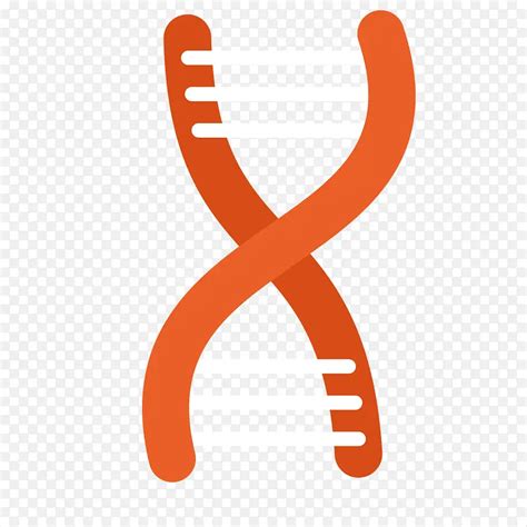 人体细胞染色体矢量素材png图片素材下载 图片编号yzomamje 免抠素材网
