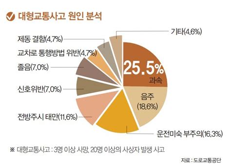 대형교통사고 원인 분석 인스티즈instiz 이슈 카테고리