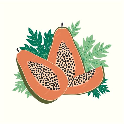 Ilustração Em Vetor Mamão Fruta Vetor Premium