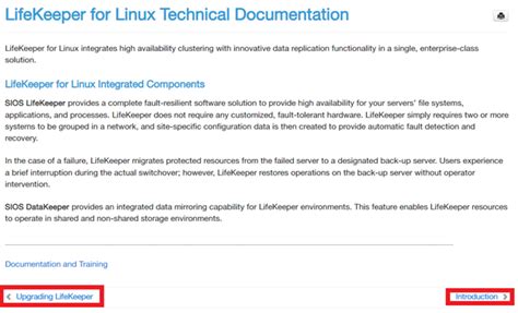 how to get started successfully with sios documentation sios sanless