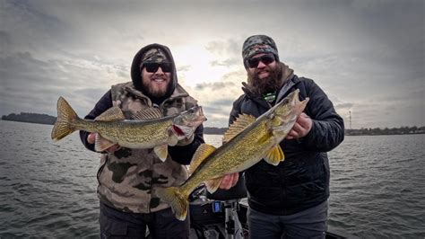 The Truth About Mille Lacs Walleyes Target Walleye