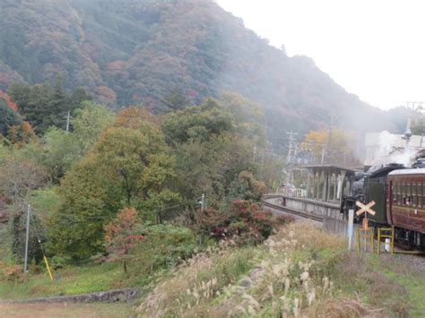 秩父鉄道 国鉄c58形蒸気機関車 Elパレオエクスプレス C58 363 白久駅 鉄道フォト・写真 By E233 Fufuさん レイル
