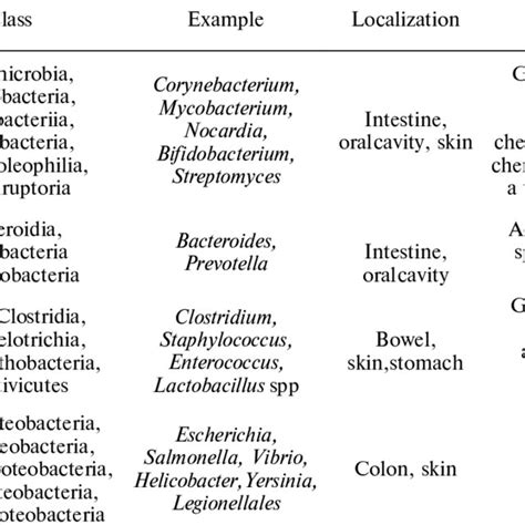 Prevailing Types And Classes Of Human Microbiome Bacteria Adopted From