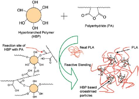 Schematic Illustrations Of In Situ Cross Linking Of Hyperbranched