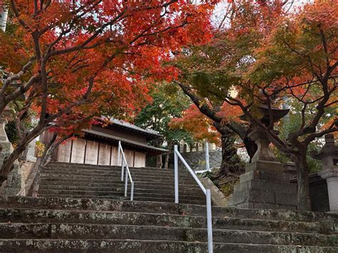 【紅葉状況 まだ見頃？】 1211現在の紅葉状況です 紅葉八幡宮（もみじはちまんぐう） Facebook