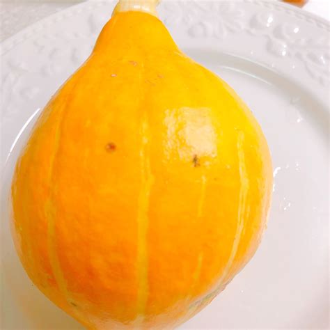 そのまま食べると美味しくない「コリンキー」をピクルスで。 うみブログ