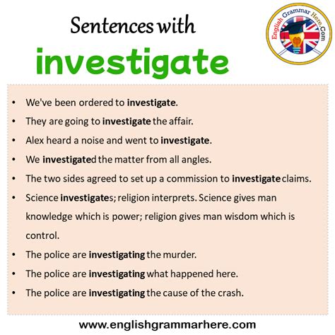 Sentences With Investigate Investigate In A Sentence In English