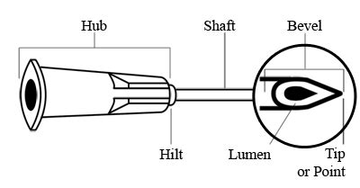 Play Piercing And Beading Phlebotomy Study Hypodermic Needle Play