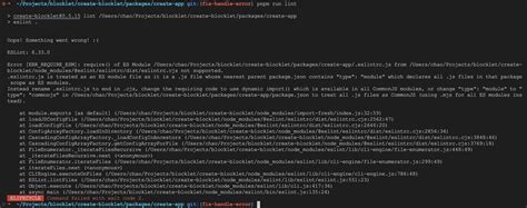 Bug Create Blocklet 项目自己的 Eslint 不 Work · Issue 272 · Blocklet