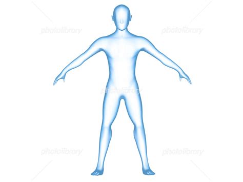人体男性 イラスト素材 1766904 フォトライブラリー Photolibrary