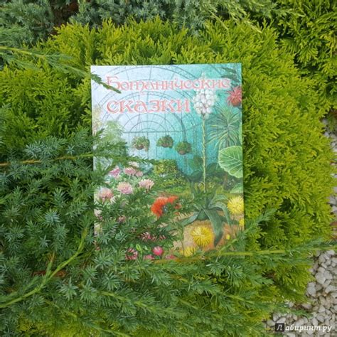 Книга: Ботанические сказки - Мамин-Сибиряк, Куприн, Андерсен. Купить ...