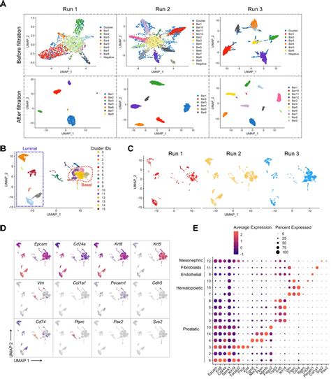 figures and data in runx1 marks a luminal castration resistant lineage