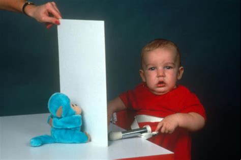 No Object Permanence Memes Imgflip