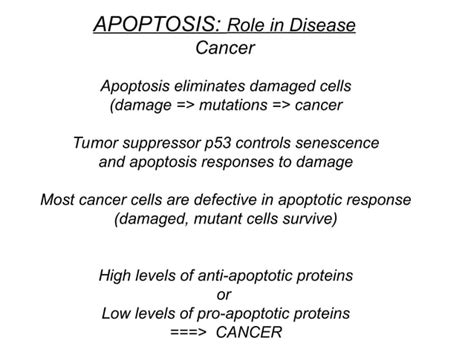 Lecture Apoptosis For Gradutes Ppt