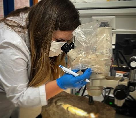 Evaluación Y Diagnóstico Del Estado De Conservación Patrimonial