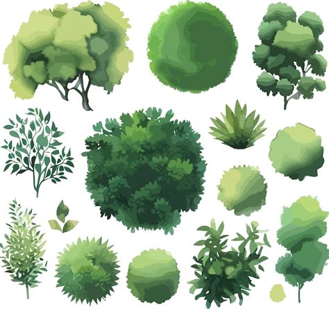 Premium Vector Awesome Trees Bushes Shrubs Seasesonal Vector Art Premium Vector Awesome Trees Bushes Shrubs Seasesonal Vector Art