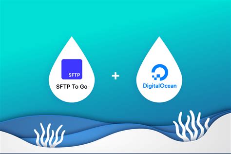 Sftp To Go Now Available On Digitalocean Marketplace