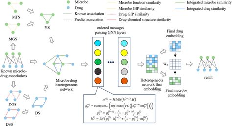 Frontiers Ognnmda A Computational Model For Microbe Drug Association Prediction Based On