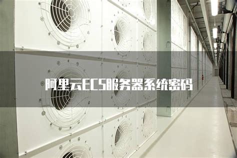 阿里云ECS服务器系统密码