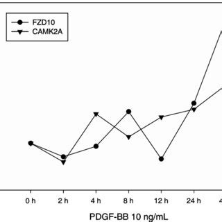 Time Course Microarray Data Of Two Wnt Signaling Pathway Components