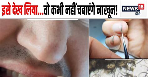 नखन चबन इतन खतरनक Video दखकर आप भ कहग कय बजरग कहत थ