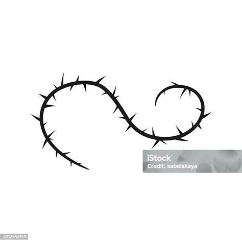 철조망 고딕 디자인 요소 가시 곱슬 검은 선 벡터 미늘 꼬인 줄기 실루엣 스파이크가 있는 덩굴 식물 0명에 대한 스톡 벡터 아트 및 기타 이미지 Istock