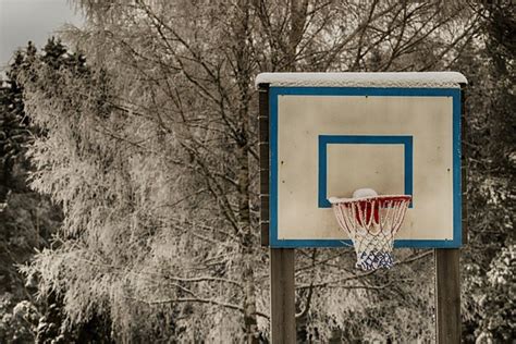 Outdoors Basketball Tree Free Photo On Pixabay Pixabay