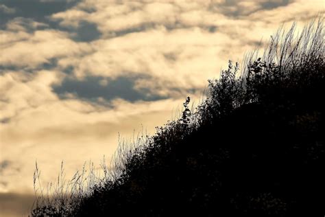 Premium Photo Grass On The Slope Against The Sky