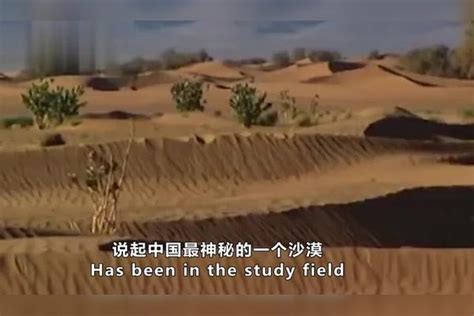 中国挑战世界难题，沙漠当中修公路，投资22亿造绿化带！
