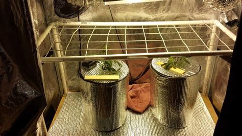 Rdwc Water Chiller Help Please Rollitup