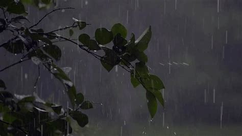 Raining Wallpaper  New Trending  Tagged Prince Rain Purple