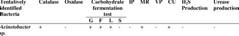 Acinetobacter Biochemical Test Results Download Scientific Diagram