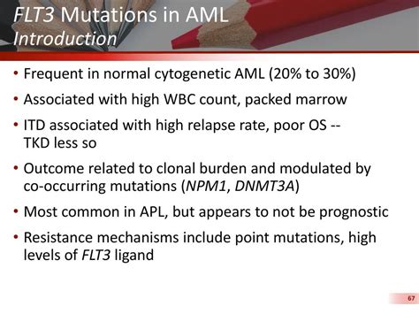 Taking A Personalized Approach To AML Treatment FLT Inhibition Ppt Download