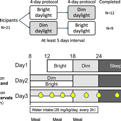 A Schema Of The Study Protocol Download Scientific Diagram