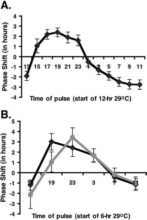 Phase Response Curve To 12 And 6 H 29°c Warm Pulses Y W And Cry B Download Scientific Diagram